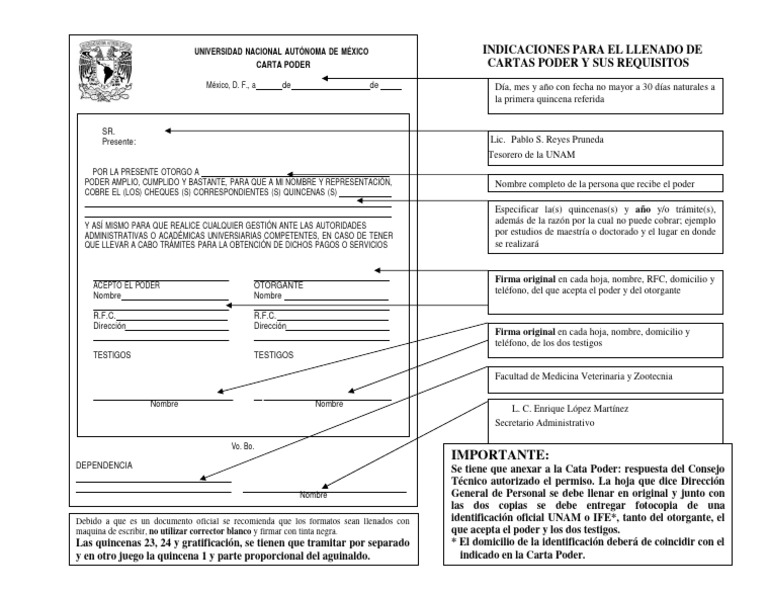 Instrucciones para Carta Poder UNAM | PDF