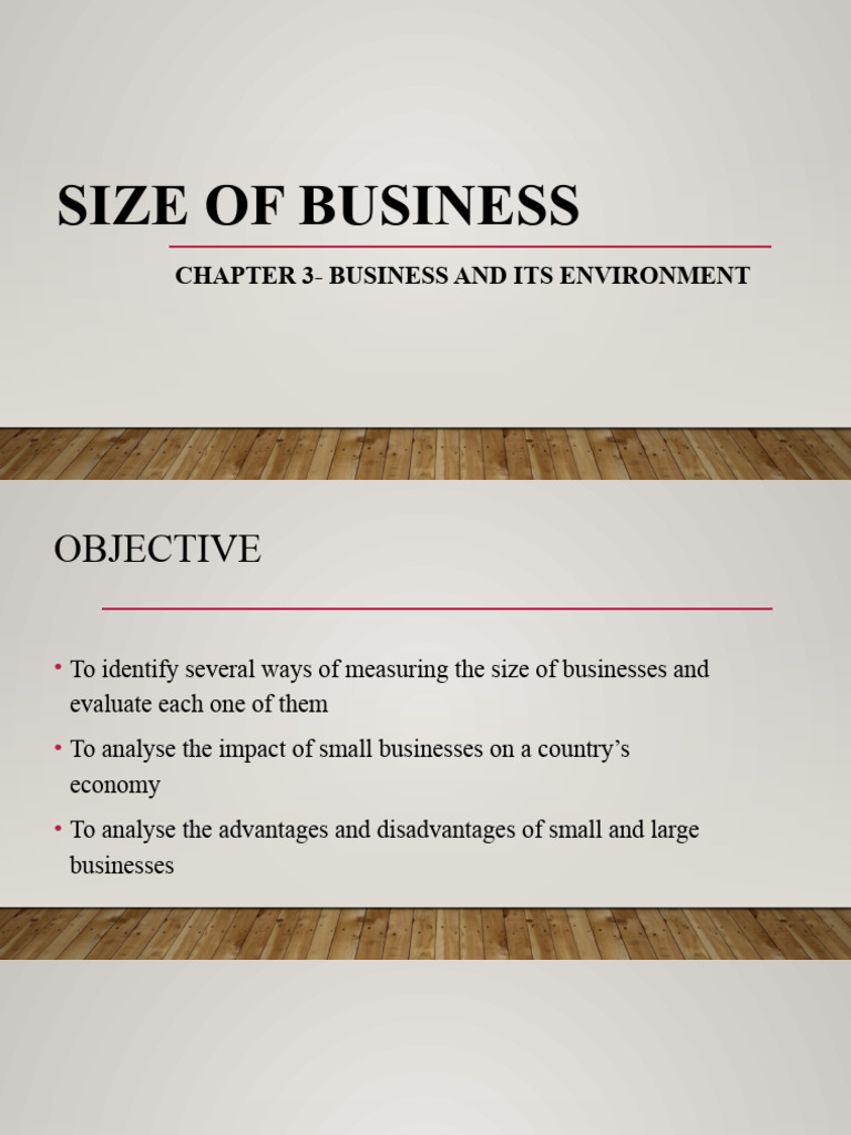 Chapter 3-Size of Business | PDF | Employment | Market Capitalization