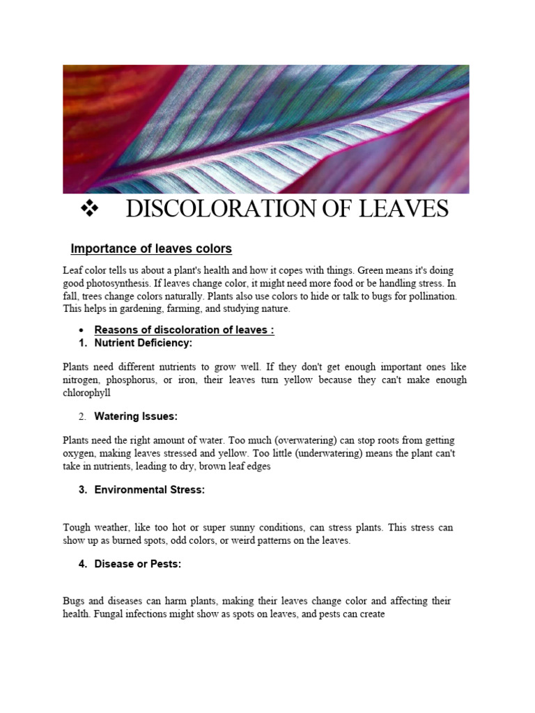 Discoloration of Leaves | PDF | Cell (Biology) | Plant Nutrition