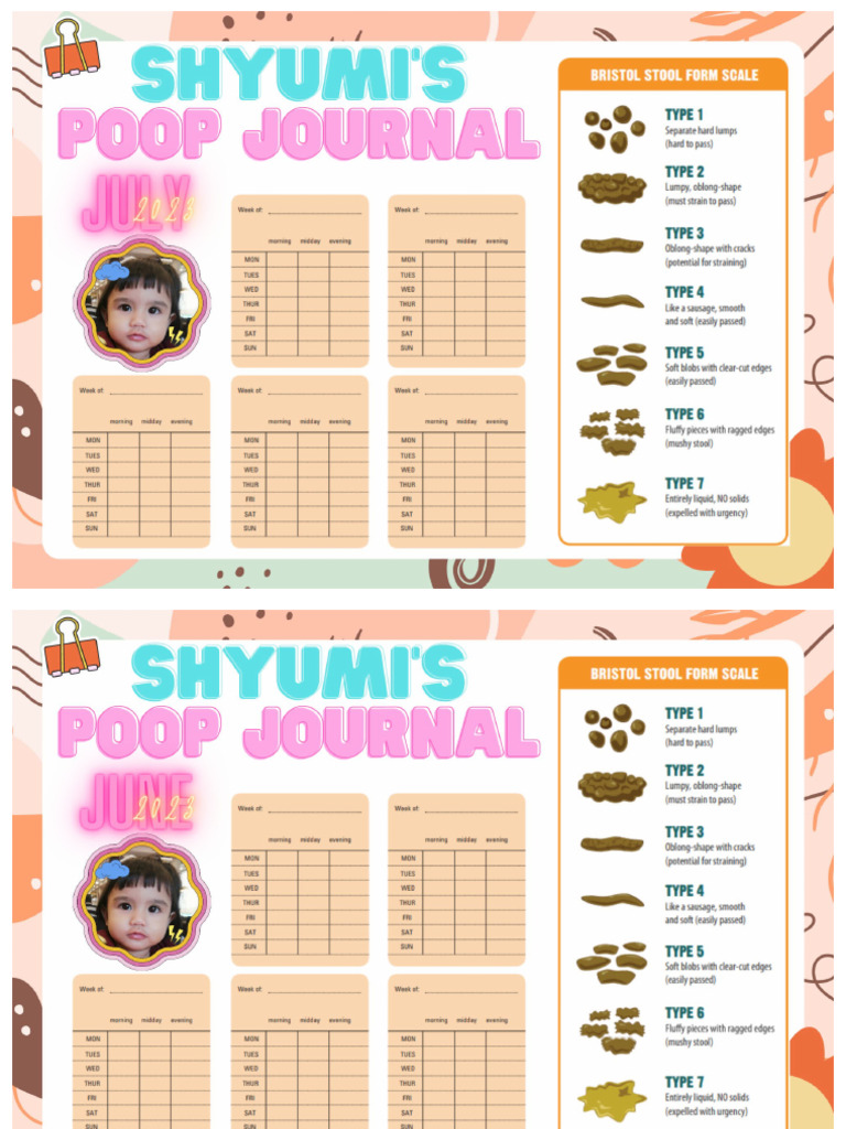 Shyumi's Poop Journal | PDF