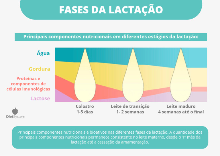 FASES DA LACTAÇÃO | PDF