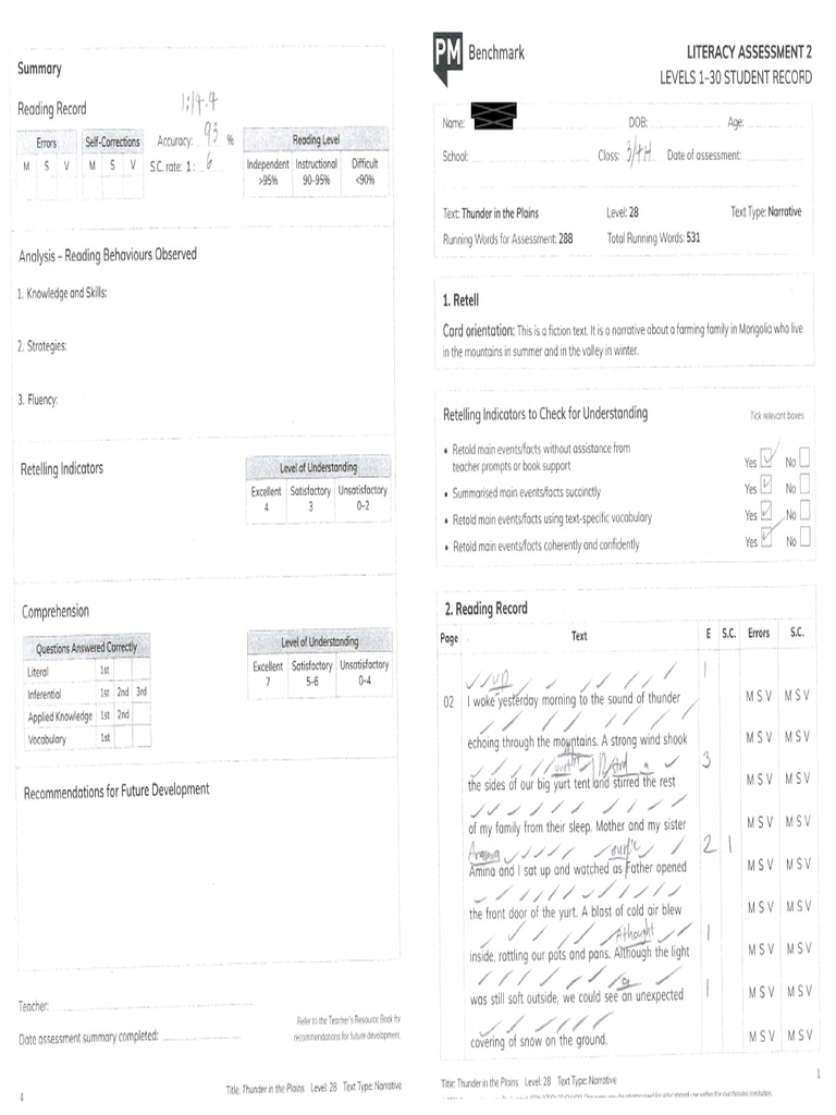 Lucas End of Year PM Benchmark | PDF