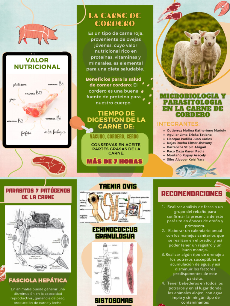 Tríptico Cordero | PDF | Carne | Nutrición