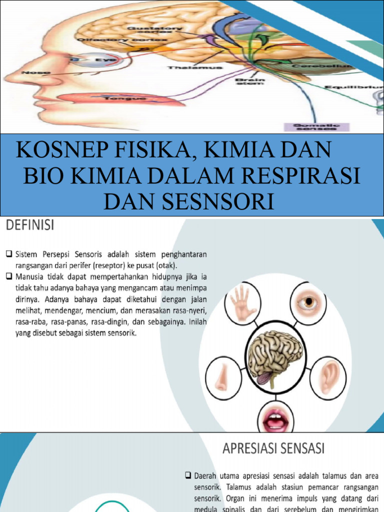 Sistem Sensori Kimia Fisika Biokimia | PDF