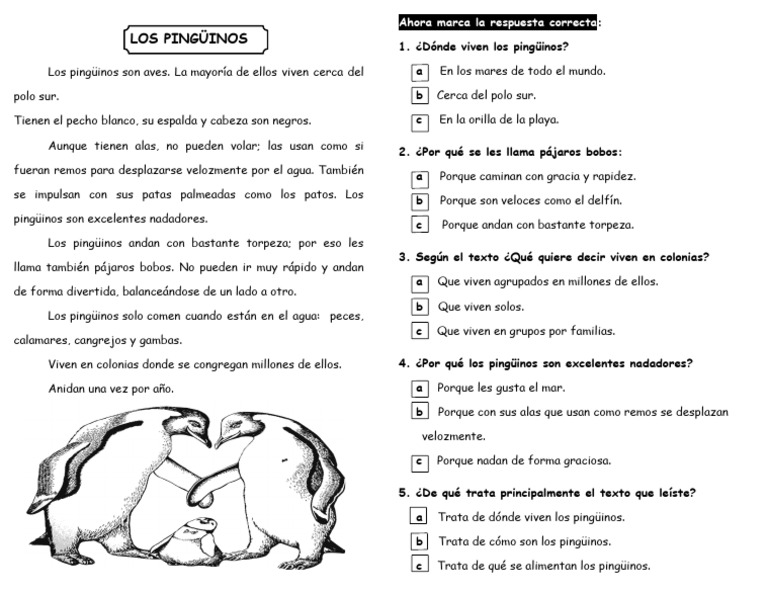 LOS PINGUINOS Plan Lector | PDF | Pingüino | Aves