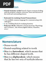 Dental Anatomy: Teeth Nomenclature & Numbering | PDF | Dental Anatomy ...