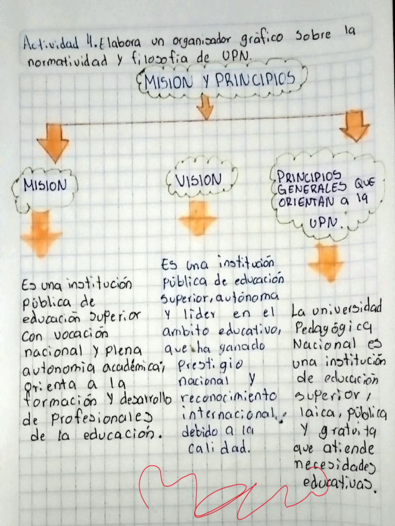 Actividad 4 Organizador Gráfico | PDF