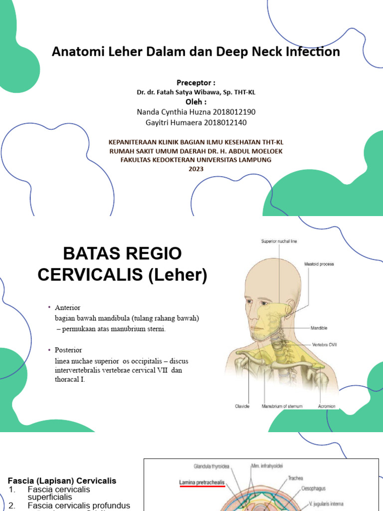 Anatomi Leher Dalam Dan Deep Neck Infection | PDF