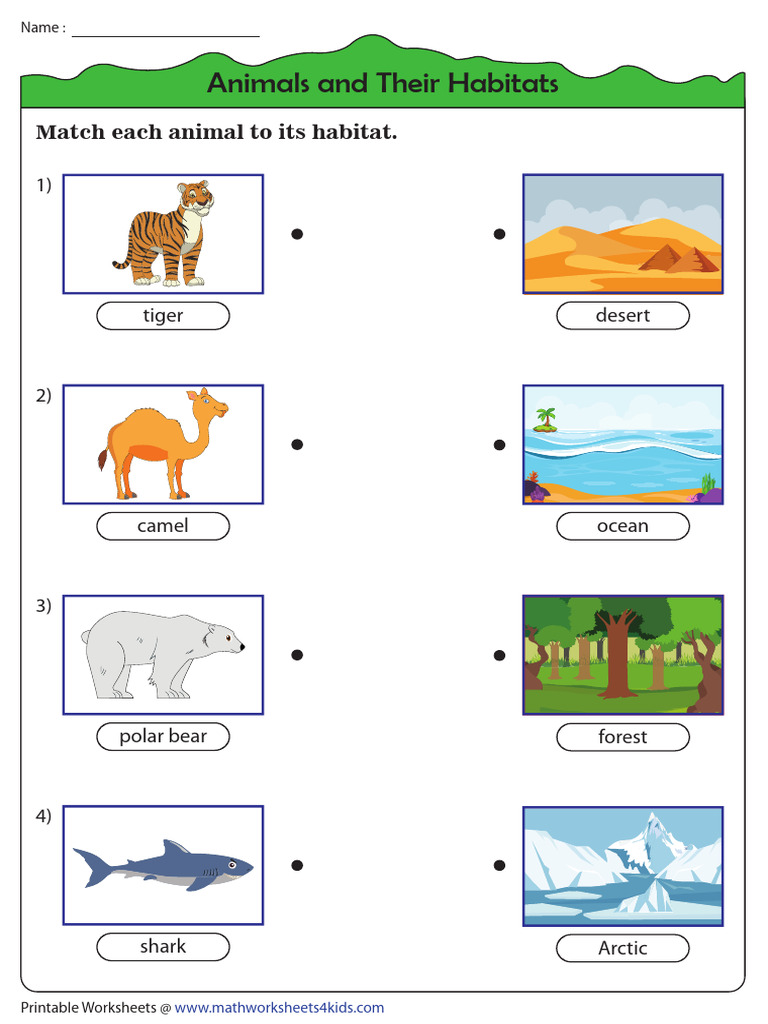 Match Animals To Their Habitat | PDF