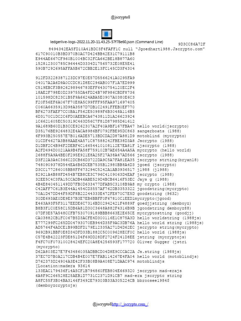 About Dem Boyz Crypto | PDF | Computers | Technology & Engineering