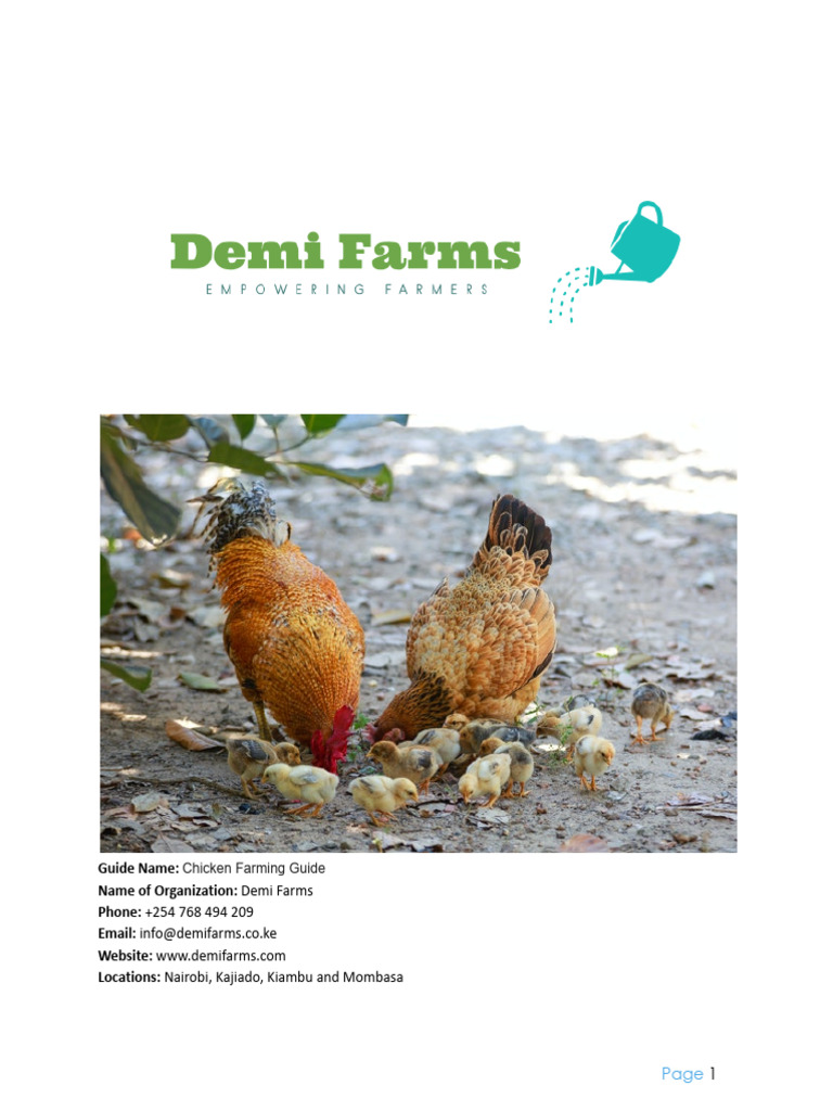 Comprehensive Chicken Farming Guide | PDF | Poultry Farming | Chicken