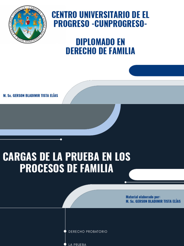 Cargas de La Prueba en Los Procesos de Familia | Descargar gratis PDF | Evidencia (ley) | Ley ...