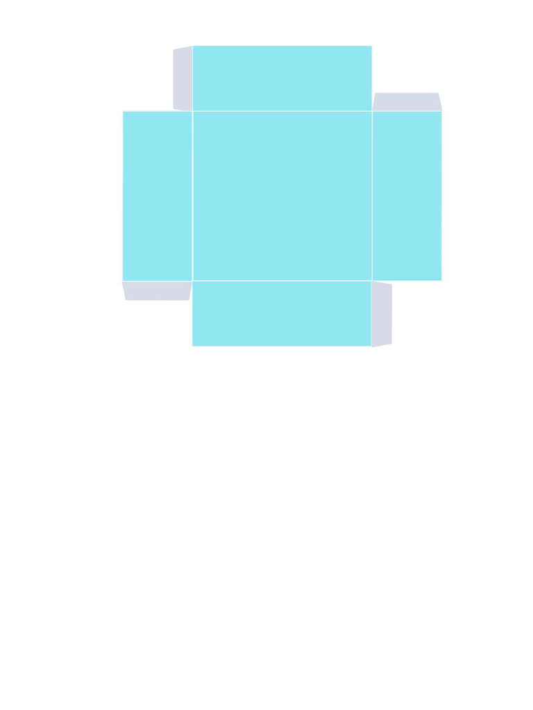 Caja Interior Polaroid | PDF