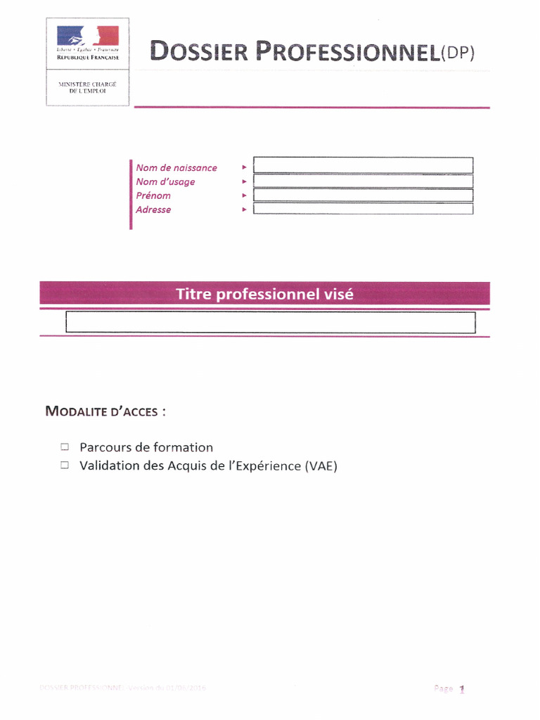 Dossier Professionnel DP | PDF