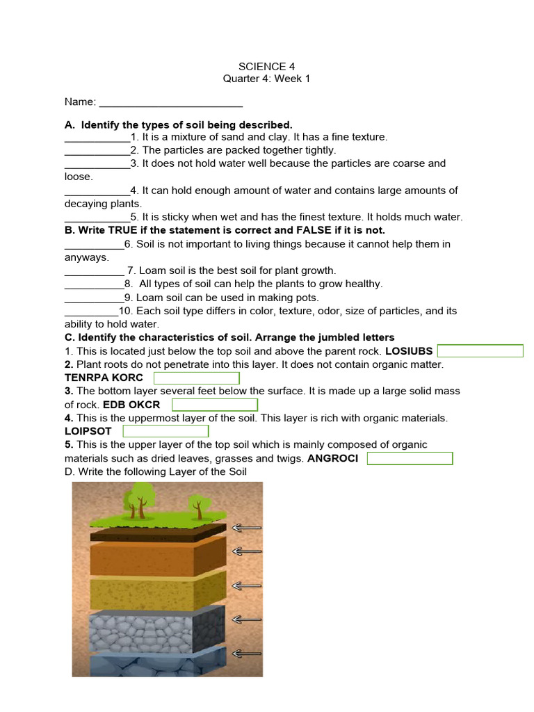 Q4 Types of Soil Activity | PDF
