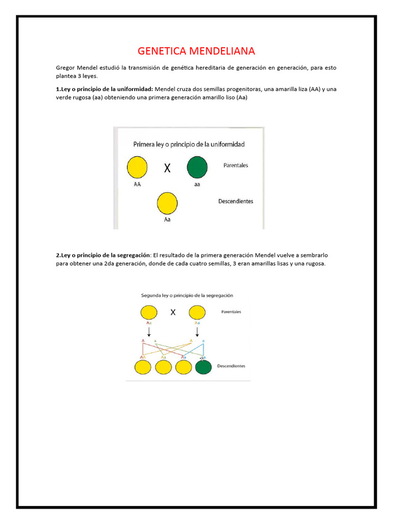 Genetica Mendeliana | PDF