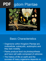 Amoeba Sisters_ Plants-Diversity, Structure & Adaptations Video | PDF ...