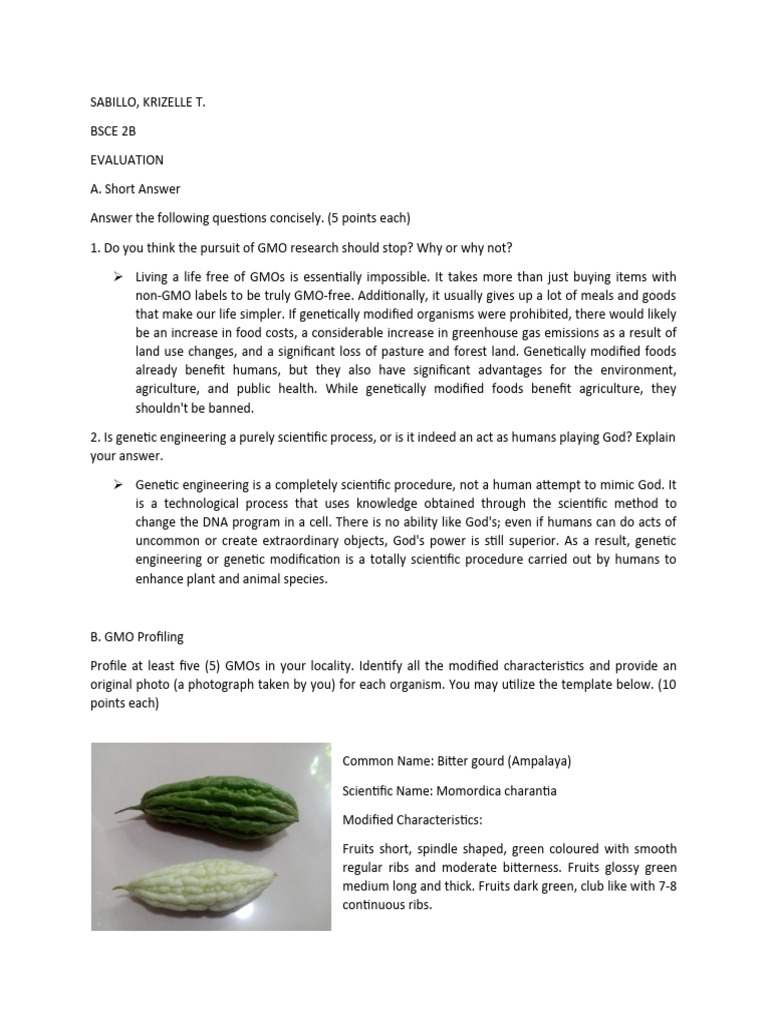 BSCE 2B-SABILLO-ASSIGNMENT 5-1 | PDF | Genetically Modified Organism | Genetically Modified Food