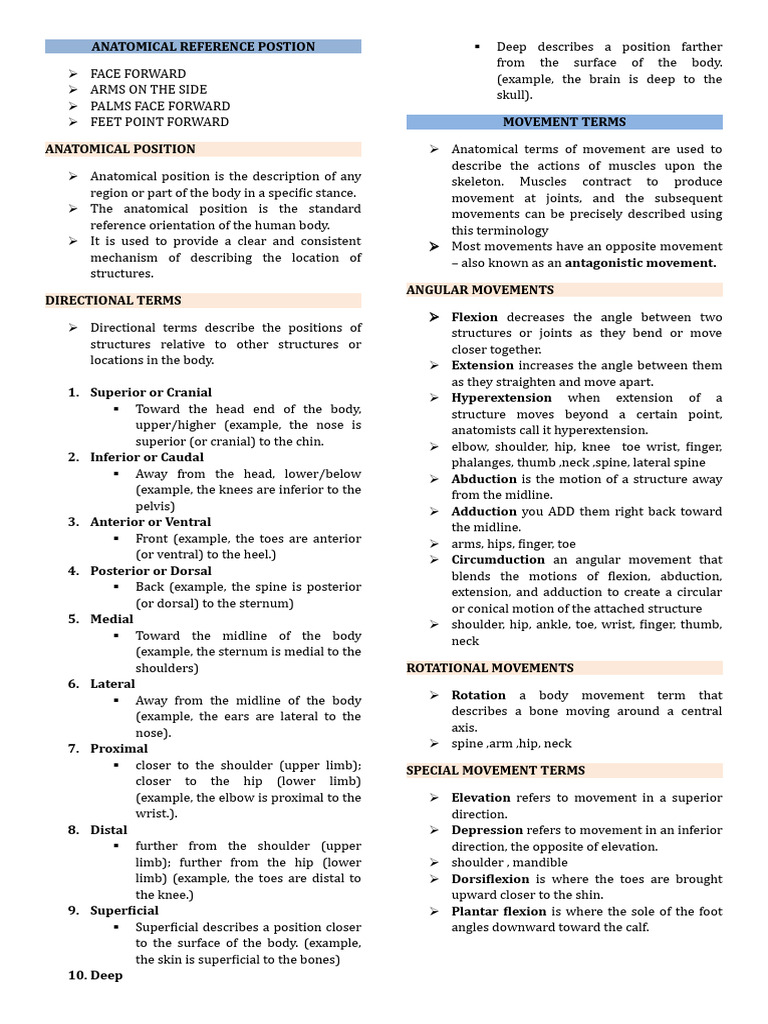 Reviewer Midterm Pathfit | PDF | Anatomical Terms Of Motion | Anatomical Terms Of Location