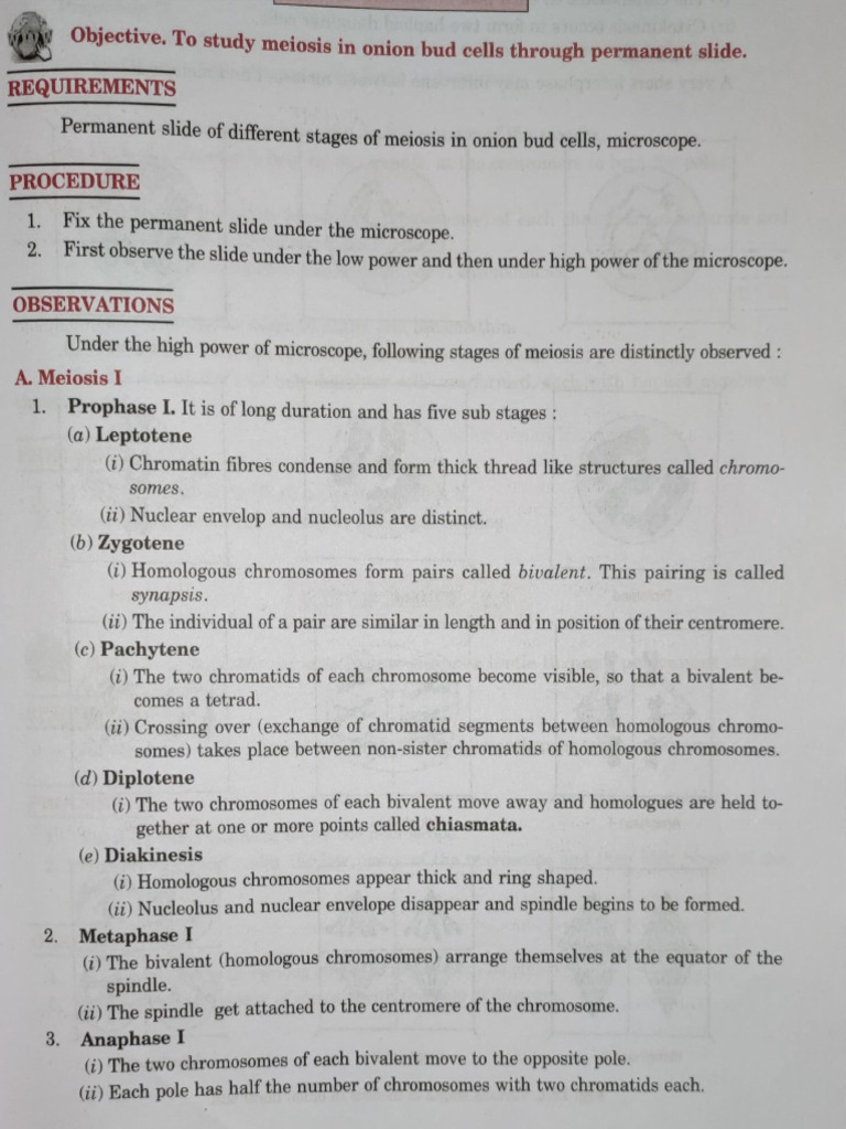 Bio-Expt. No. 9 | PDF | Meiosis | Cell Biology