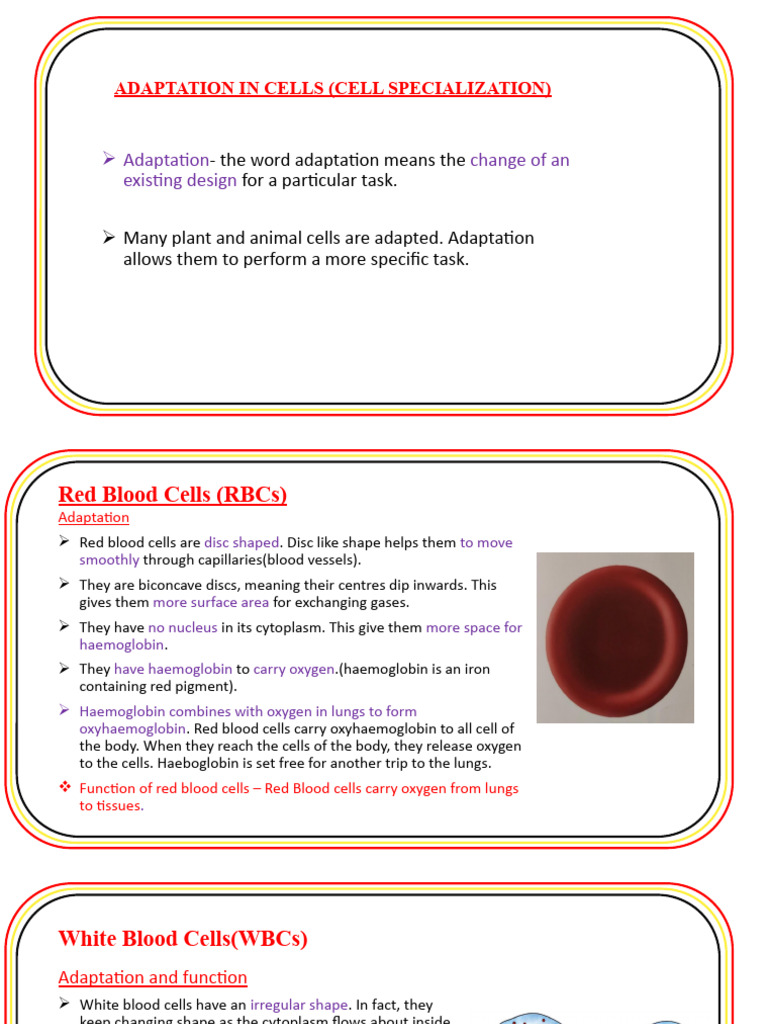 Adaptation in Cells Notes | PDF