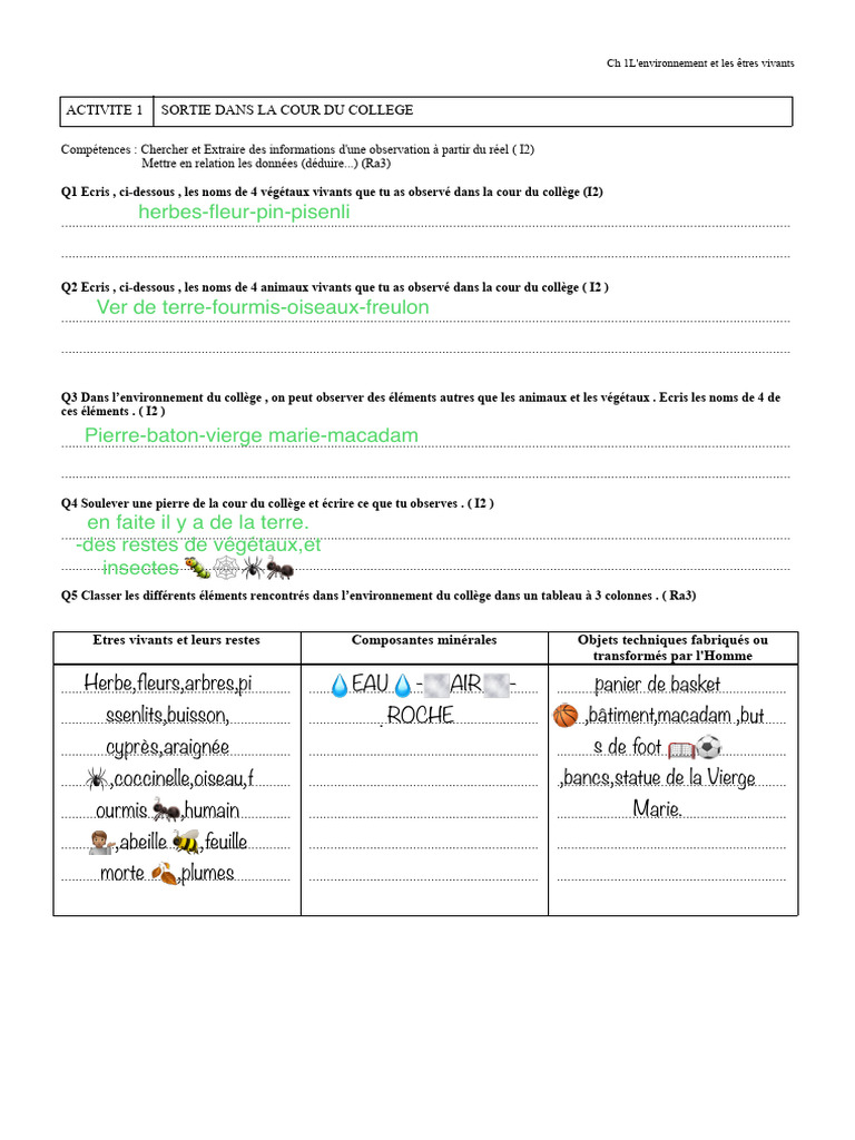 Activité 1 Les Composantes de Lenvironnement | PDF