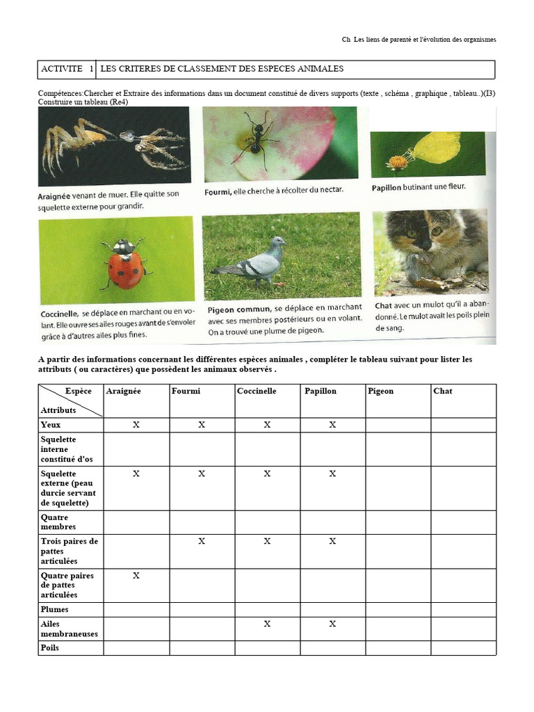 Activité 1 Les Critères de Classement Des Espèces Animales . | PDF ...