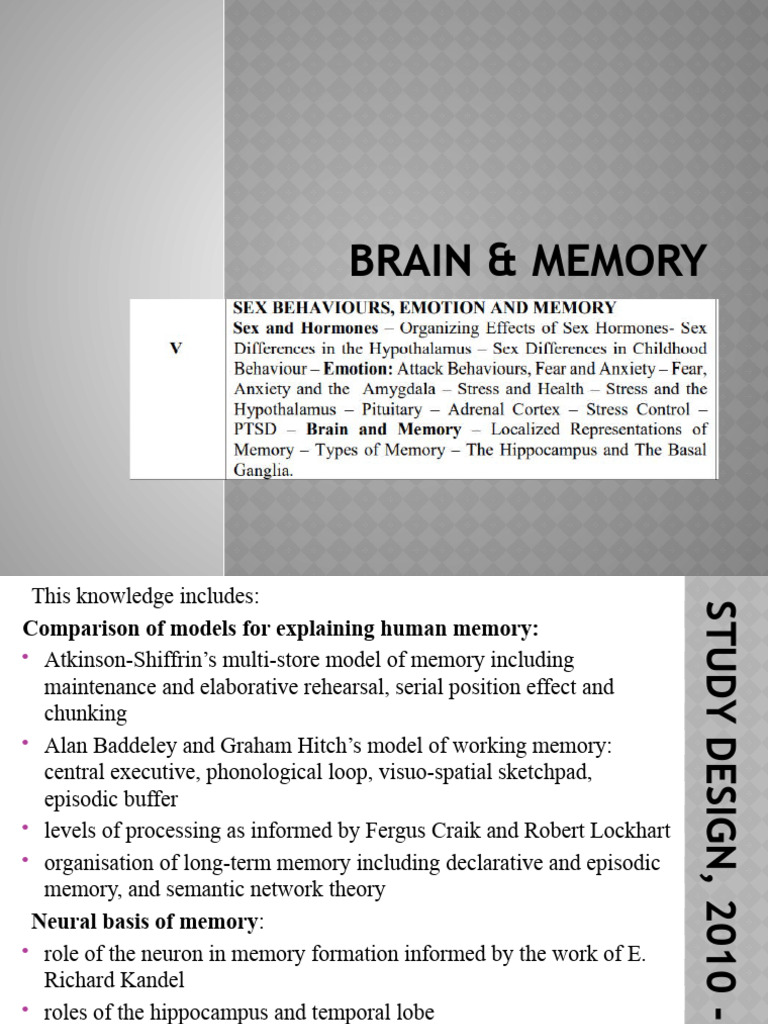 5. Memory | PDF | Memory | Long Term Memory