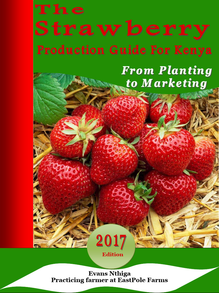 Strawberry Production Guide PDF | PDF | Strawberry | Mulch