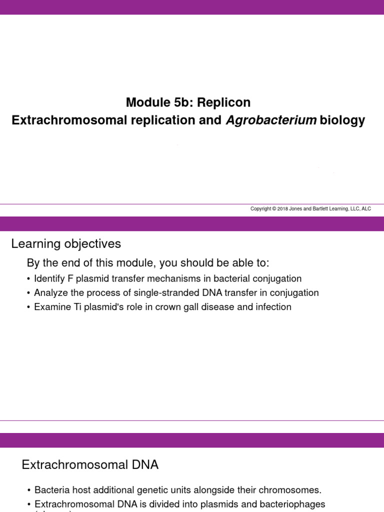 Module 5b | PDF | Plasmid | Bacteriophage