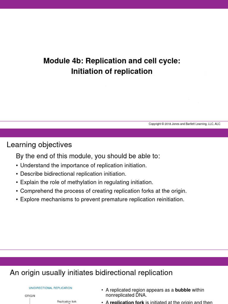 Module 4b | PDF | Dna Replication | Dna Methylation