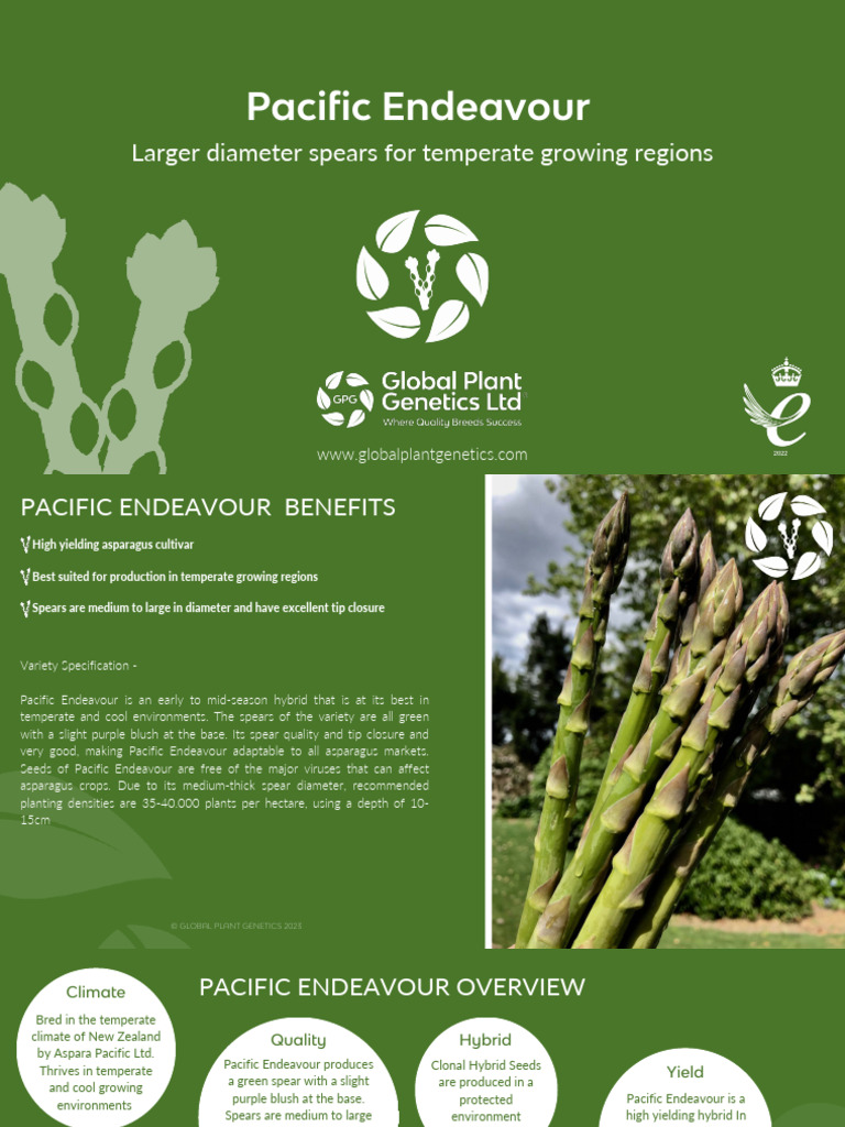 new-pacific-endeavour-brochure | PDF | Asparagus | Hybrid (Biology)