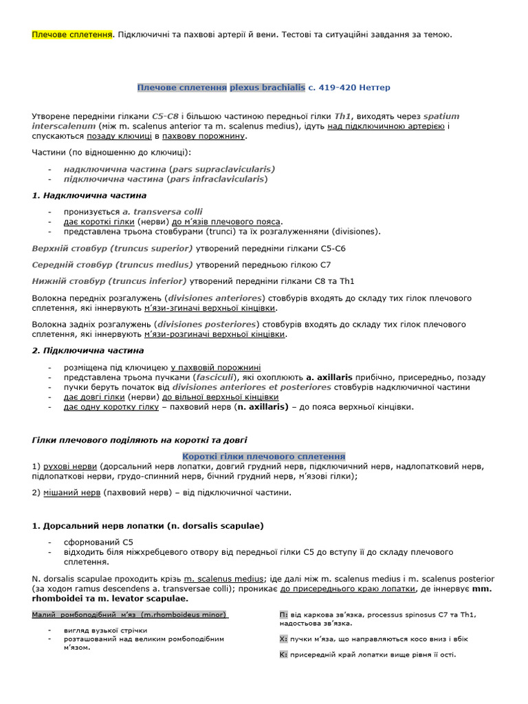 Плечове сплетення | PDF