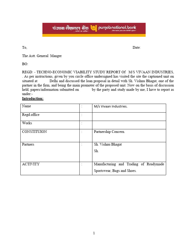 Tev For VIVAAN Ind. | PDF | Expense | Adidas