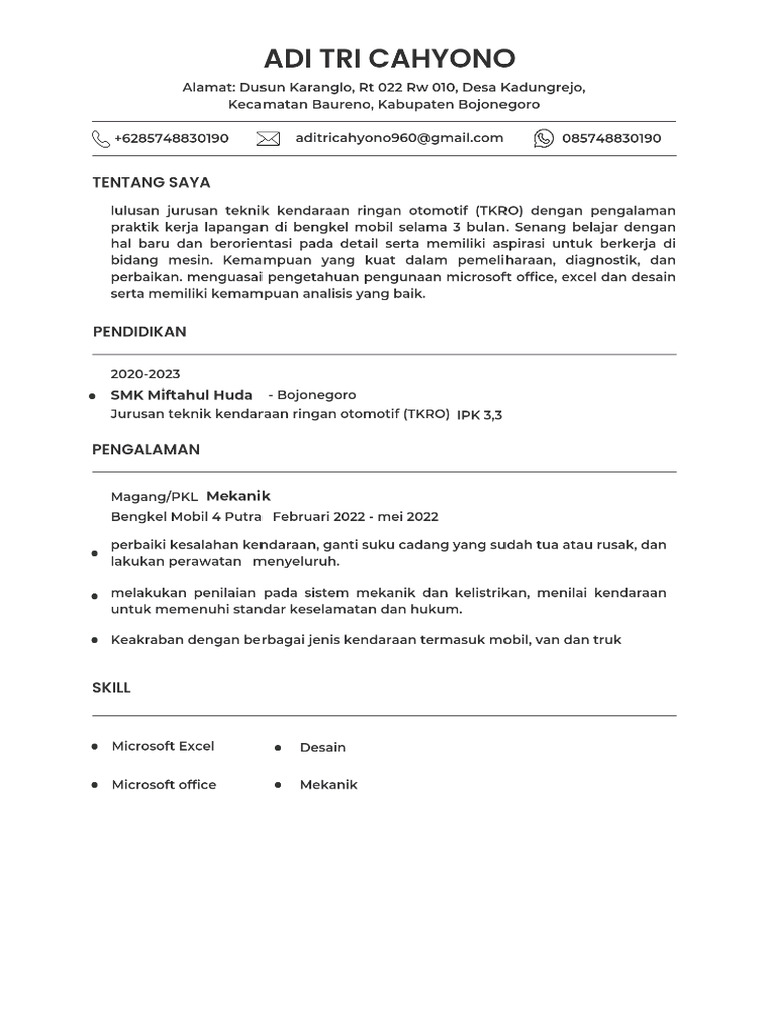 CV Online | PDF