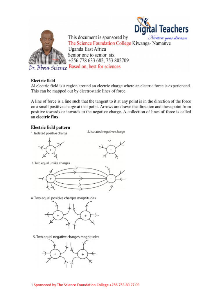 Electric Fields | PDF | Electric Field | Electric Charge