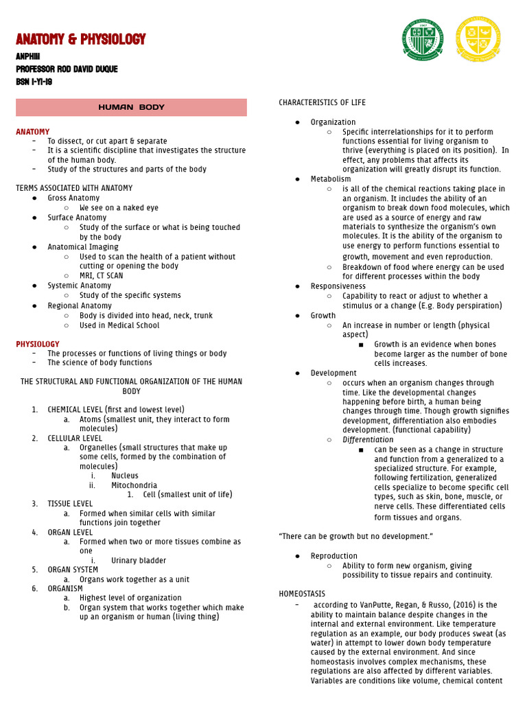 Anatomy and Physiology Overview | PDF | Anatomical Terms Of Location ...