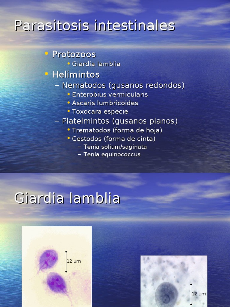 20-10 Parasitosis intestinal | Parasitología | Salud pública