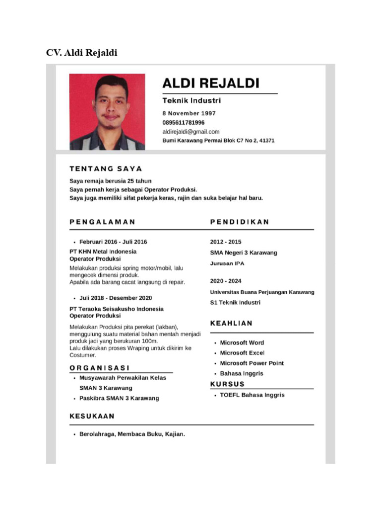 CV Magang Aldi Rejaldi | PDF