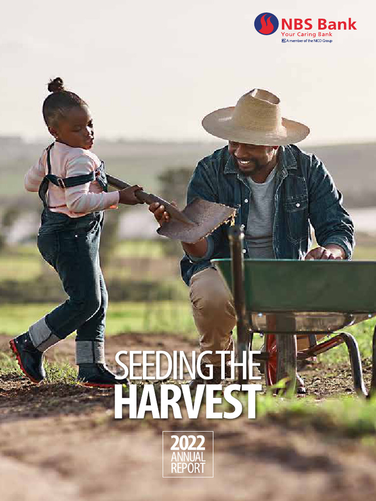 Nbs Bank 2022 Annual Report | PDF