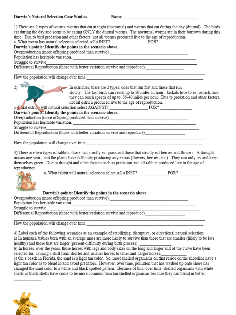 Darwins Natural Selection Worksheet | PDF | Natural Selection ...