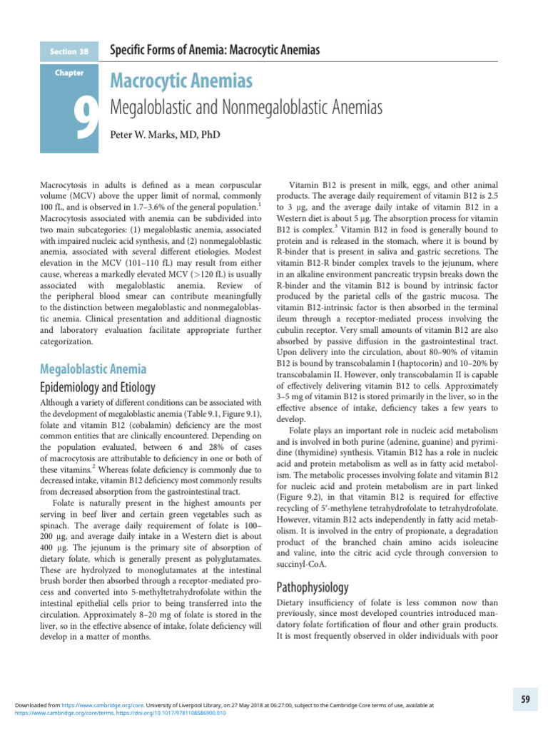 macrocytic-anemias | PDF | Anemia | Vitamin B12