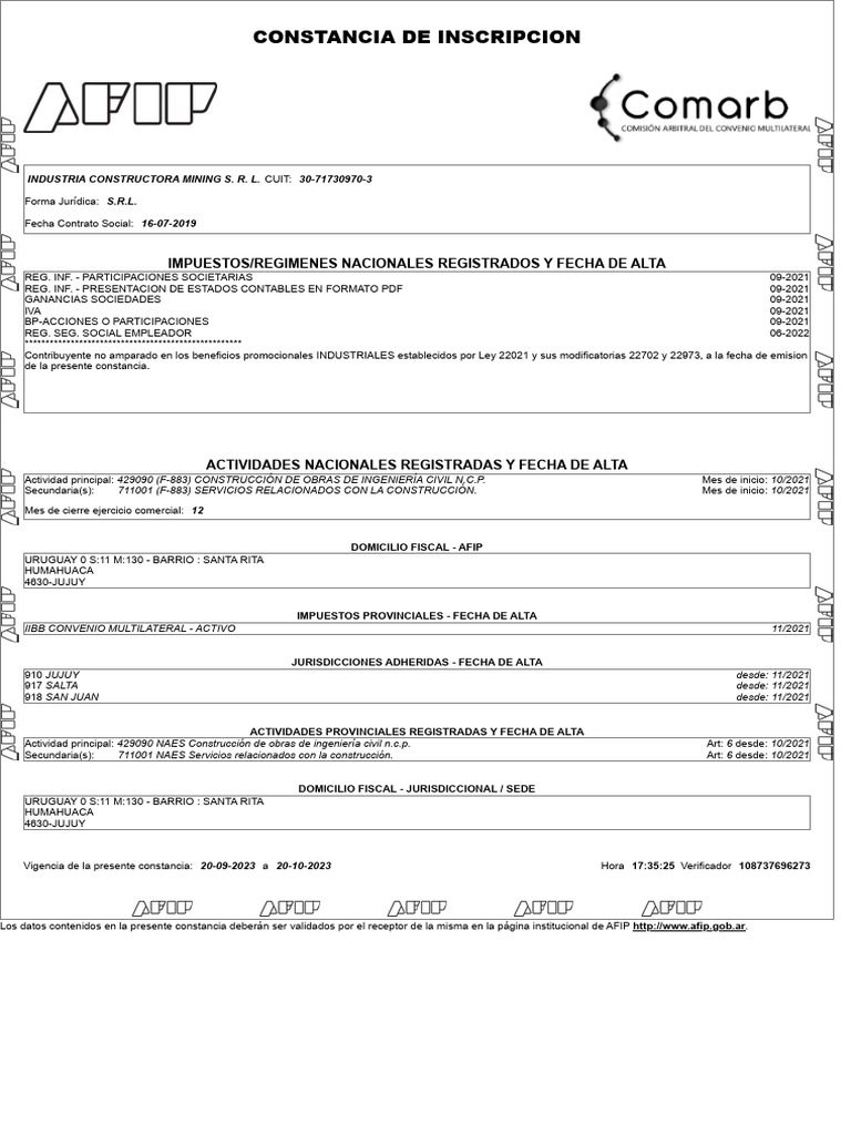 Constancia AFIP ICM | PDF | Impuestos | Business