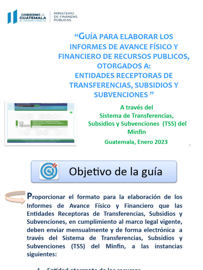 Informes de Avance TSS Minfin | PDF | Presupuesto | Otorgar dinero)