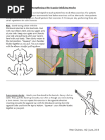 Medbridge Cervical Radiculopathy PT Exercises | PDF | Anatomical Terms ...