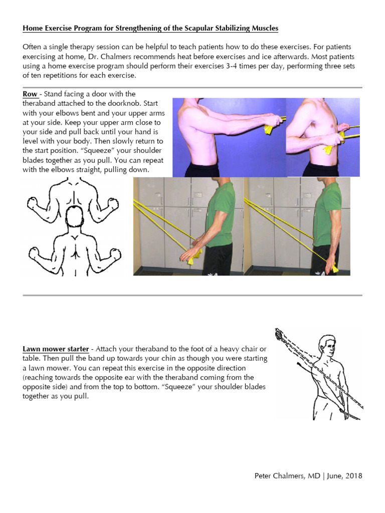 Scapular Stabilizers Exercises | PDF
