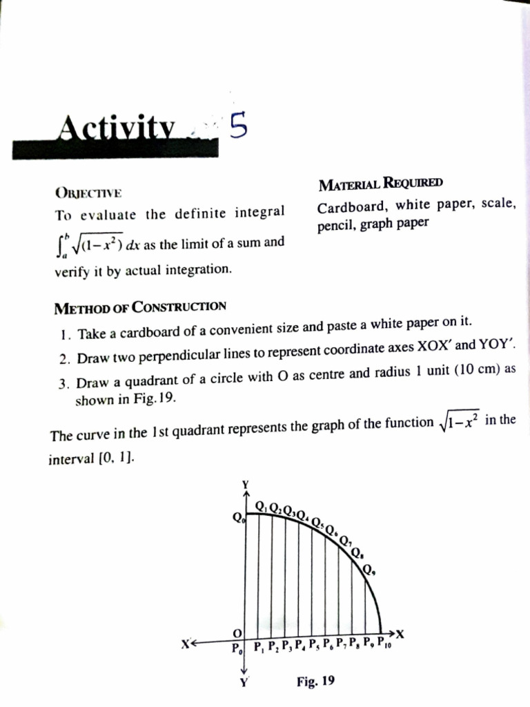 12-ACTIVITY TERM 2 MATHS | PDF