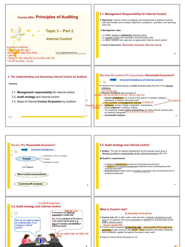 Topic 3.2 - Internal Control System | PDF