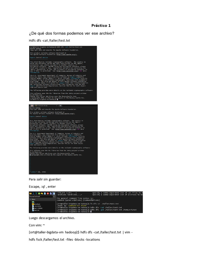 Practico Big Data Hadoop | PDF | Archivo de computadora | Apache Hadoop