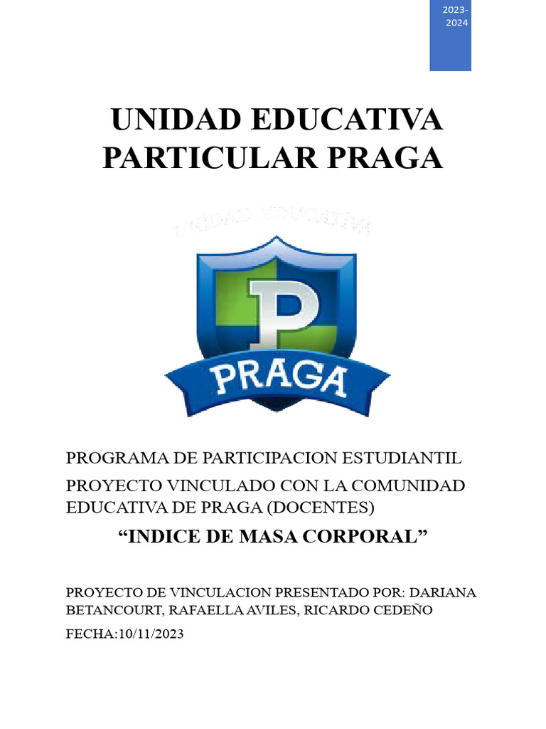 Ppe Proyecto 2023 | PDF
